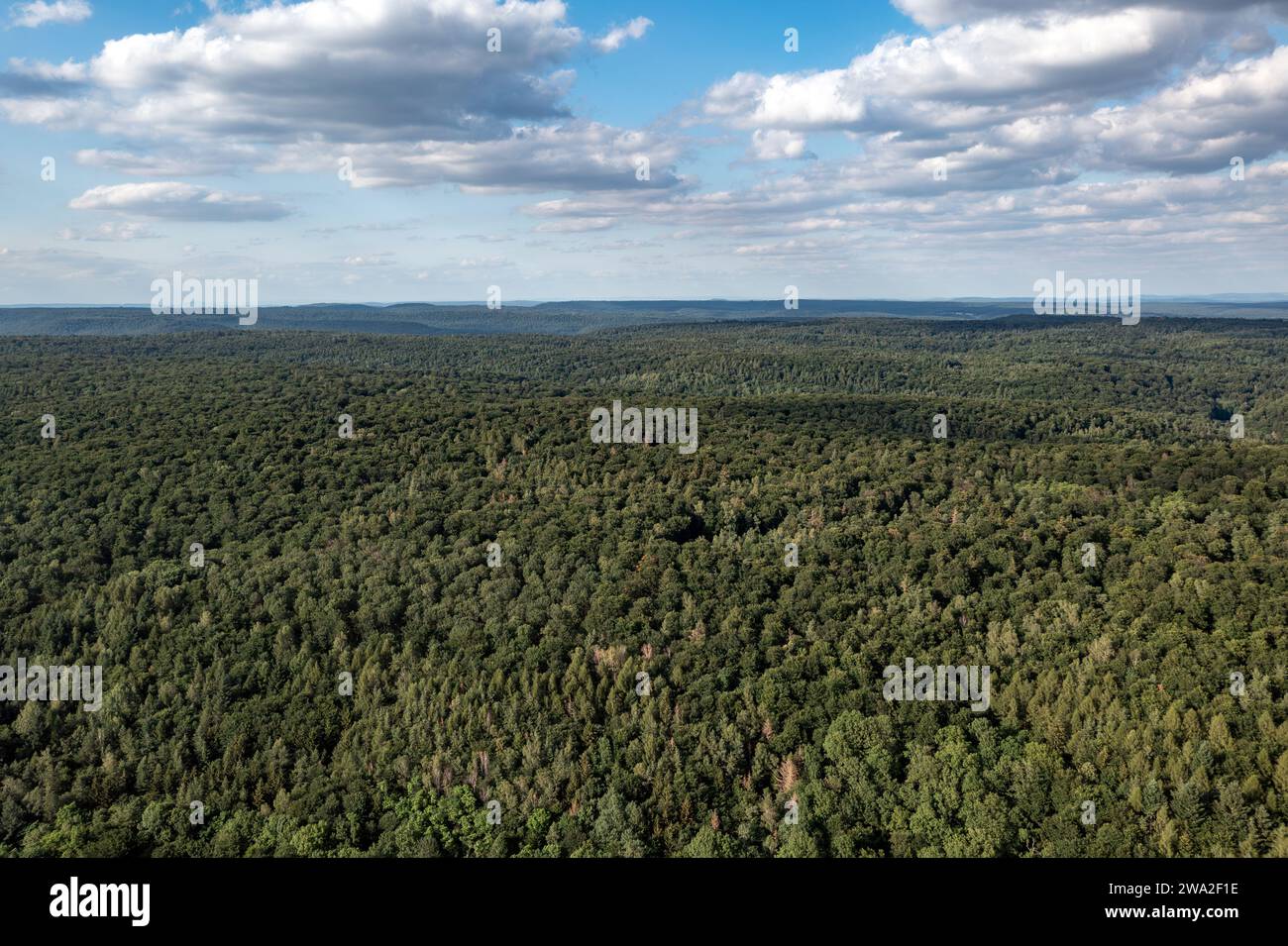 Bavarian deciduous forest area steigerwald from the air Stock Photo - Alamy