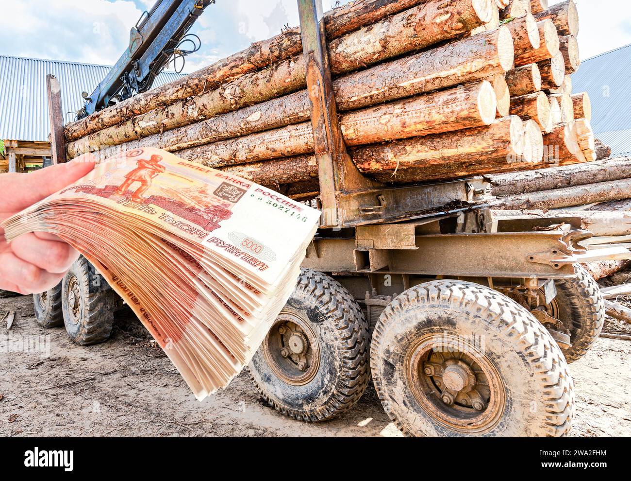 Timber carrier with large sawn logs at the wood storage place. Forest ...