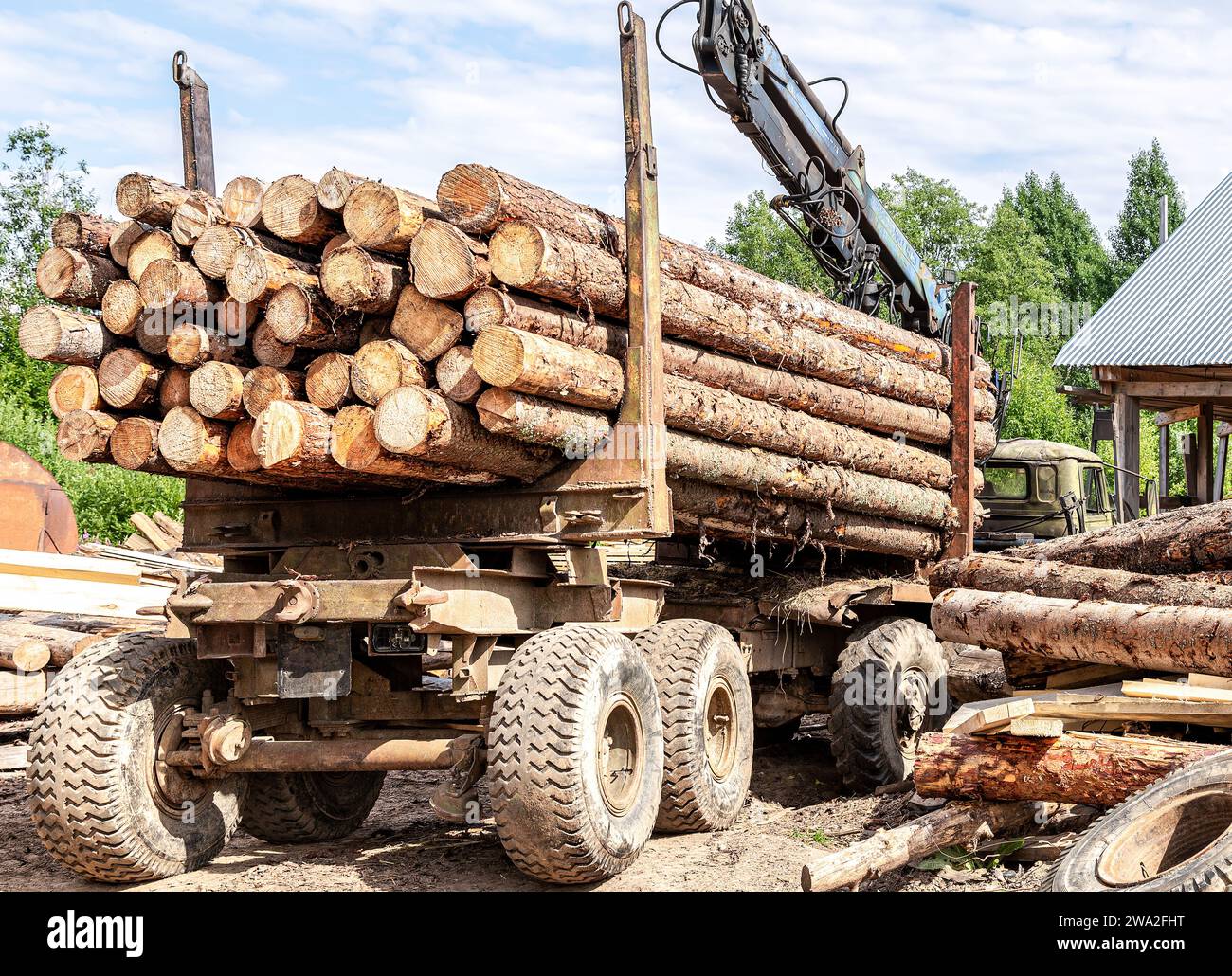 Timber carrier with large sawn logs at the wood storage place. Forest ...