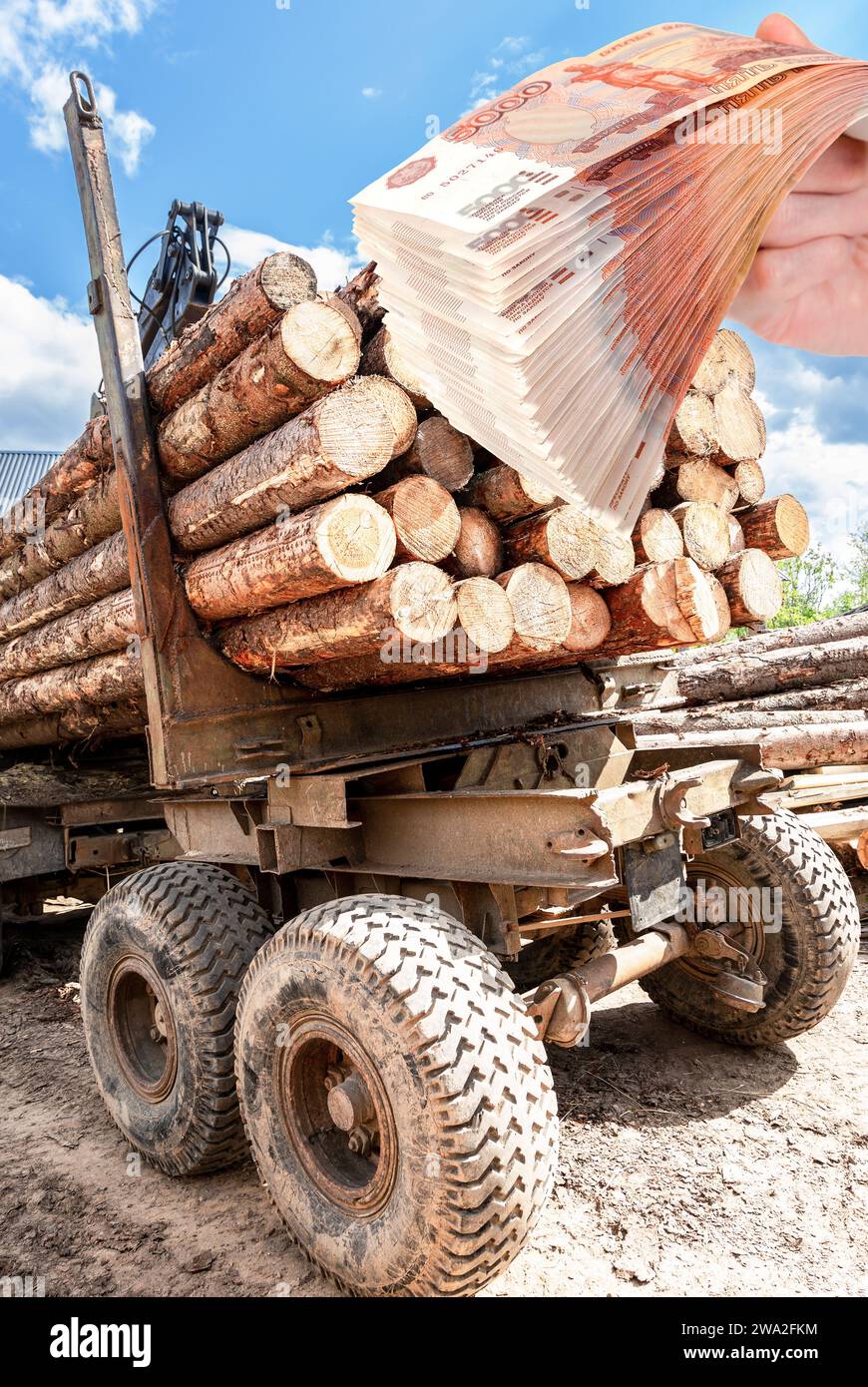 Timber carrier with large sawn logs at the wood storage place. Forest ...
