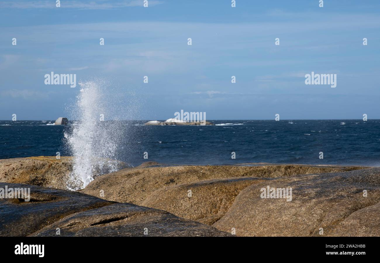 Blowhole in the granite rocks at Bicheno beach, Tasmania, Australia ...
