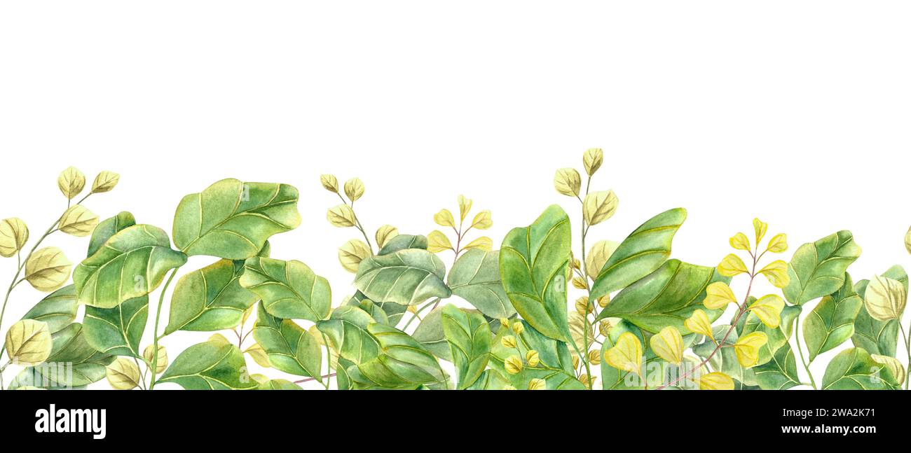 Herb border hi-res stock photography and images - Alamy