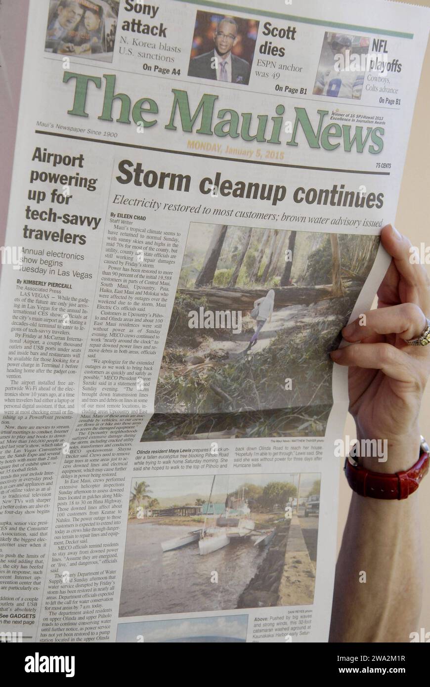 Maui .Hawaii islands ,USA The peron reading The maui News papers on ...