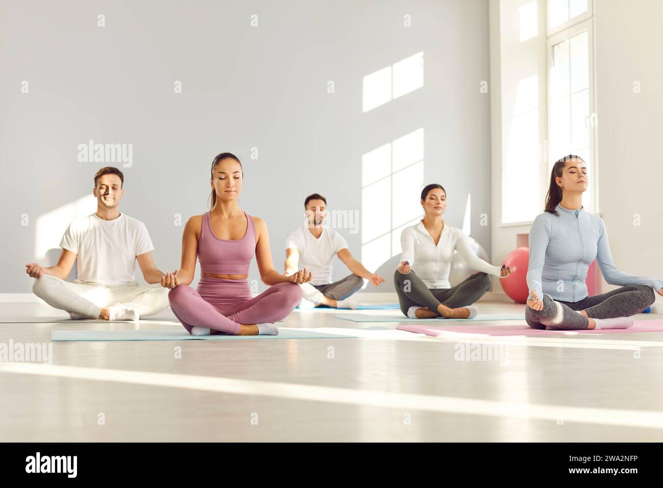 Yoga lotus pose people learning basic poses, breathing techniques ...