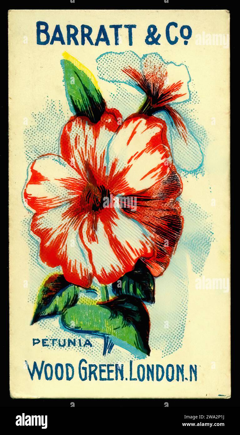 Barratt Sweets - Vintage British Tradecard Stock Photo - Alamy