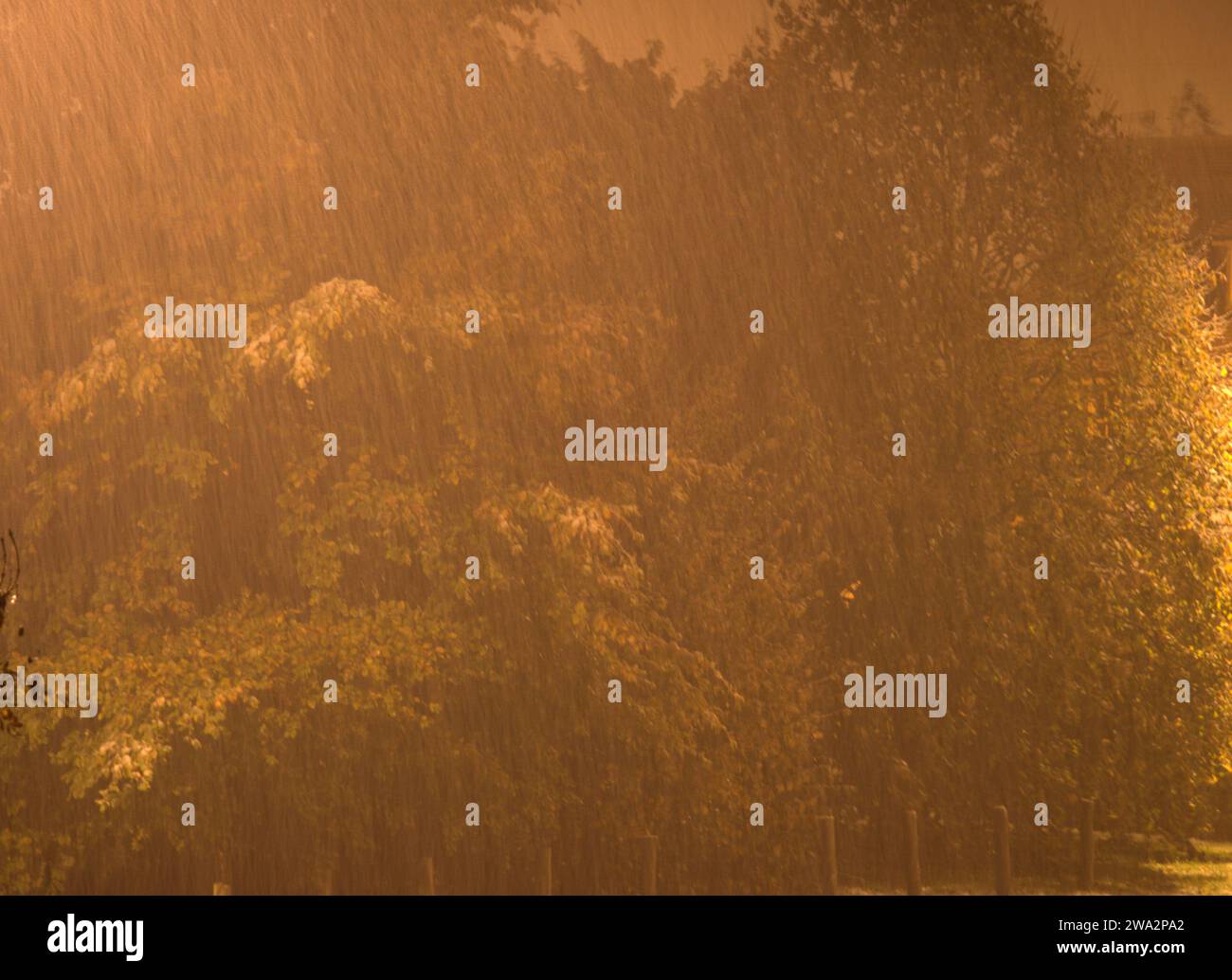 Street lighting sodium hi-res stock photography and images - Alamy