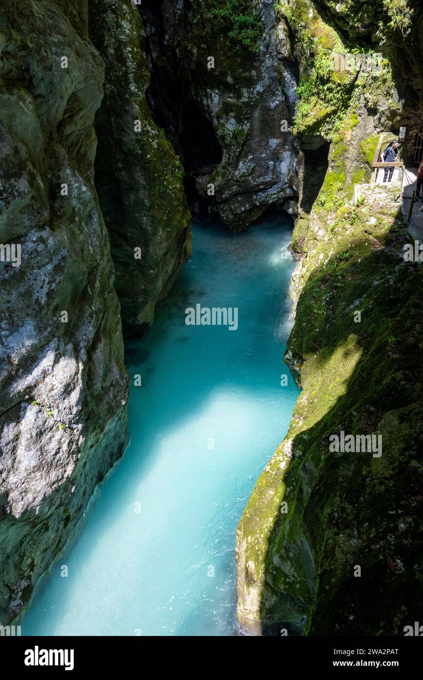 Bottom of crystal clear Soca river, one of the most beautiful european ...