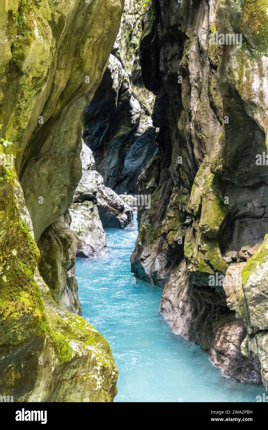 Crystal clear Soca river, one of the most beautiful european rivers ...