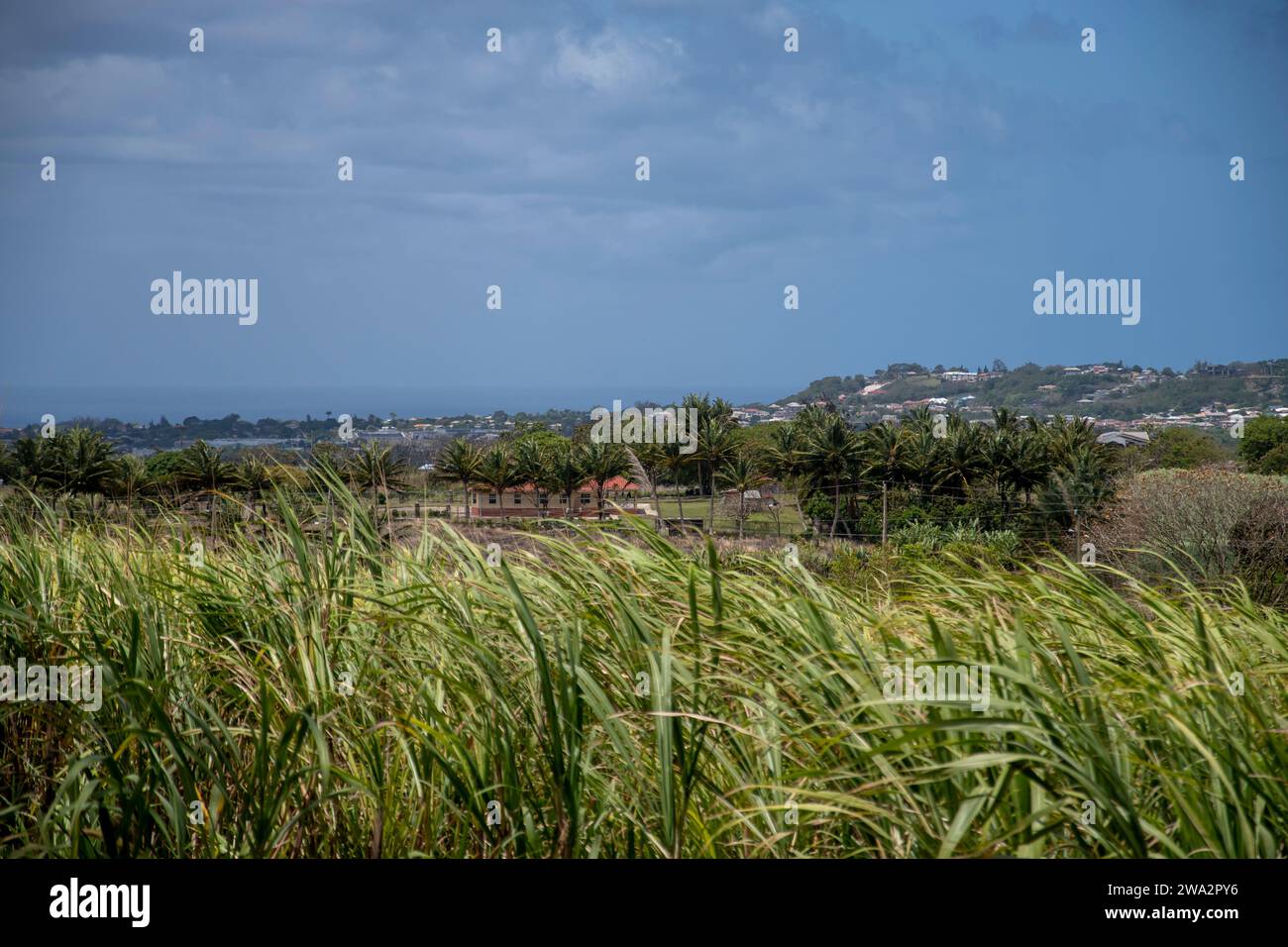 Barbados aerial view hi-res stock photography and images - Alamy