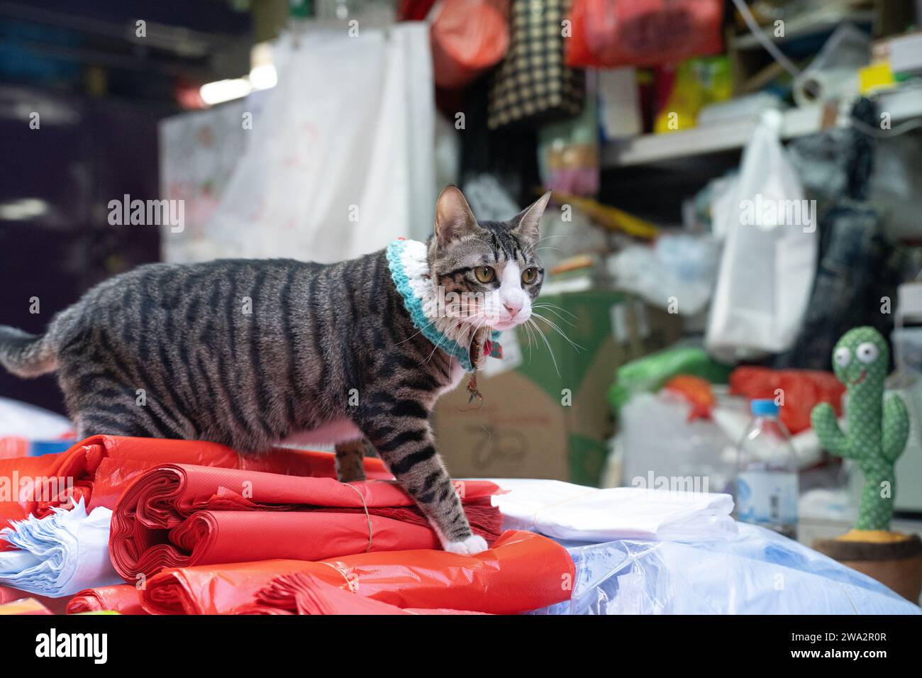 Tai yuen st hi-res stock photography and images - Alamy