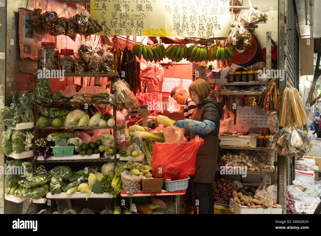 Breeding period 180 days hi-res stock photography and images - Alamy