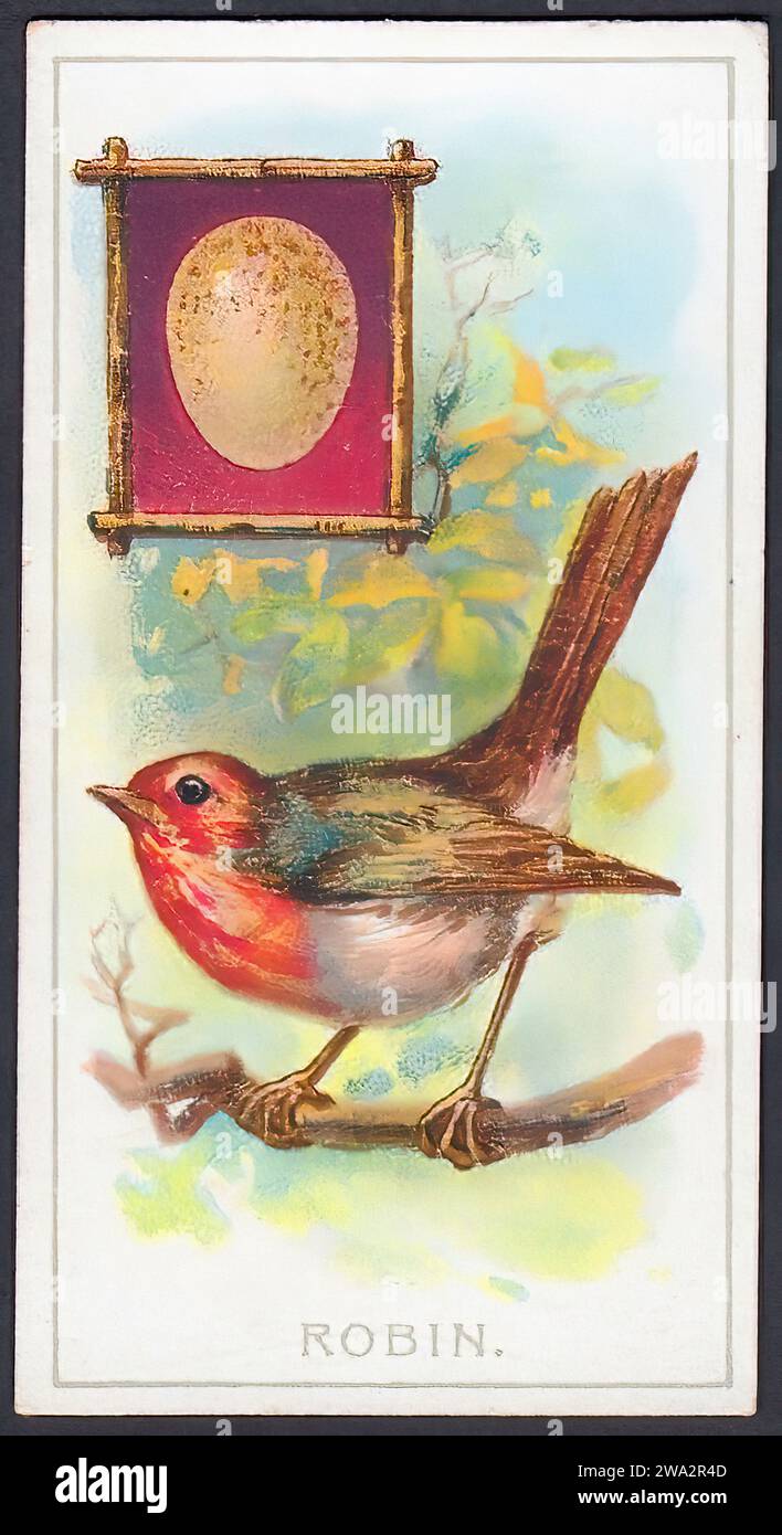 The Robin - Vintage British Tradecard Stock Photo - Alamy