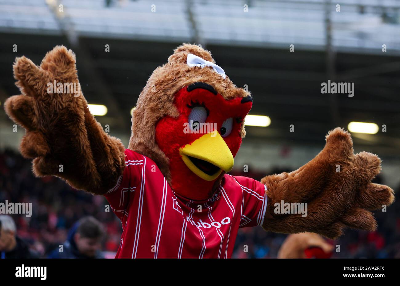 Bristol City mascot Red the Robin during the Sky Bet Championship match ...