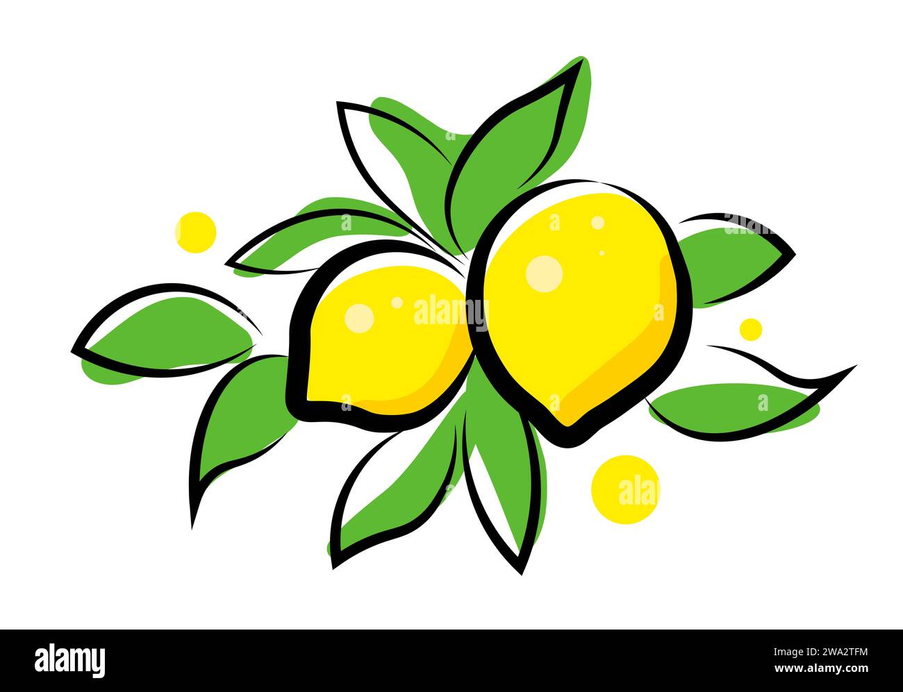 Hanging branch natural green background Stock Vector Images - Alamy