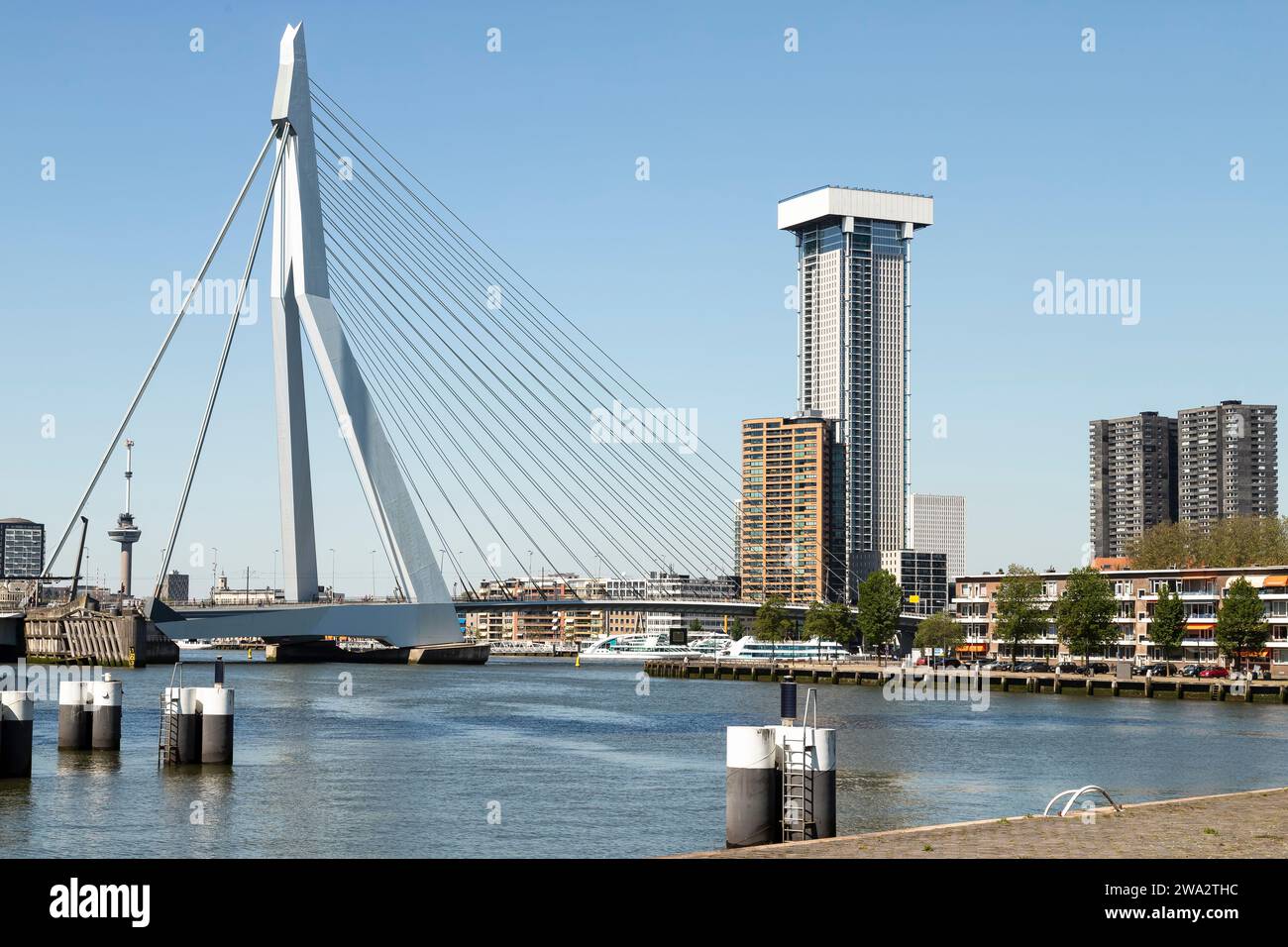 Cityscape of Rotterdam with modern skyscrapers, the Euromast and the ...