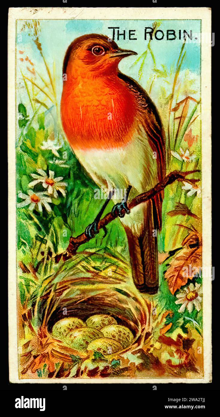 Robin vintage hi-res stock photography and images - Alamy