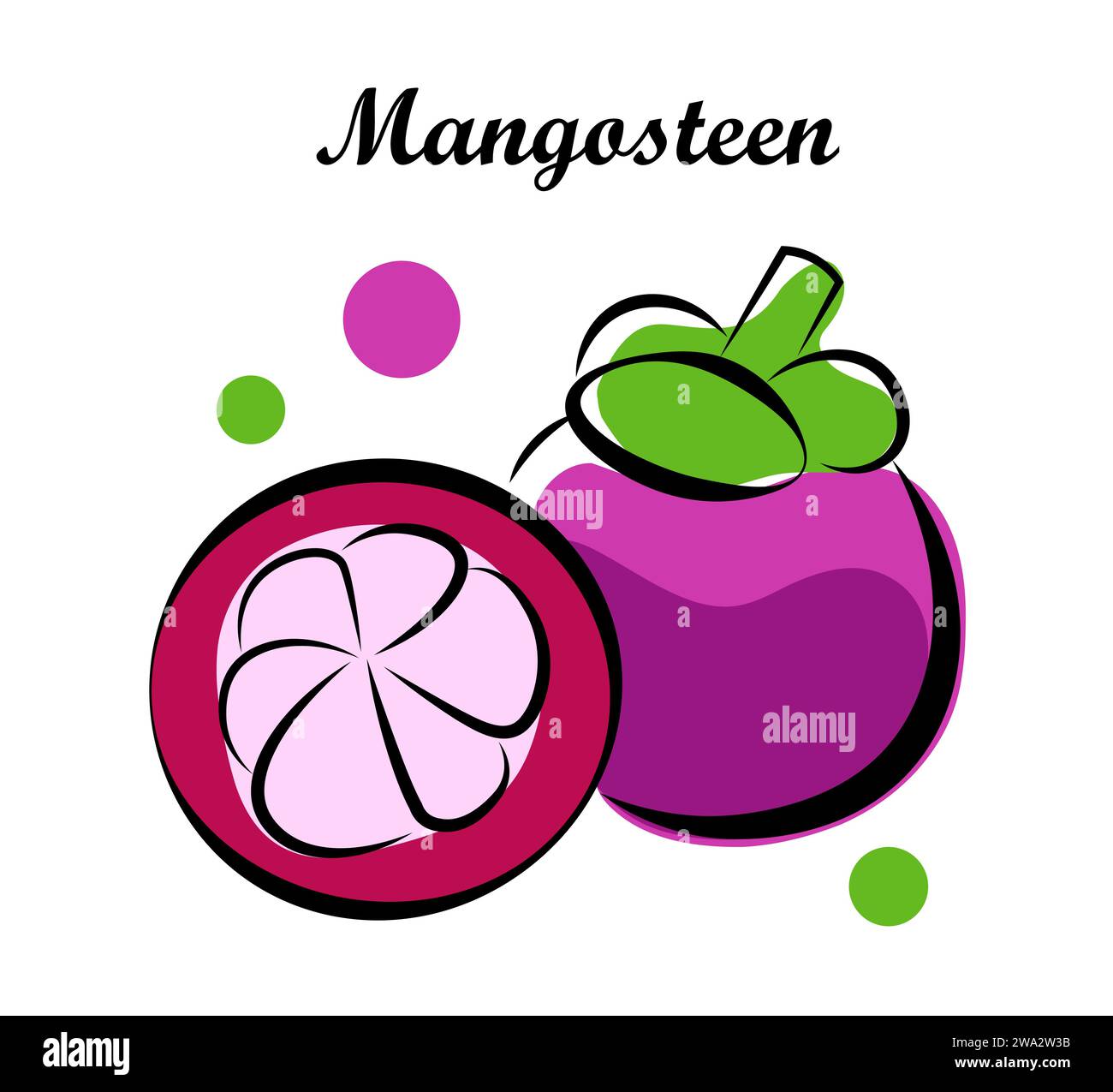 Ripe mangosteen isolated on Stock Vector Images - Alamy