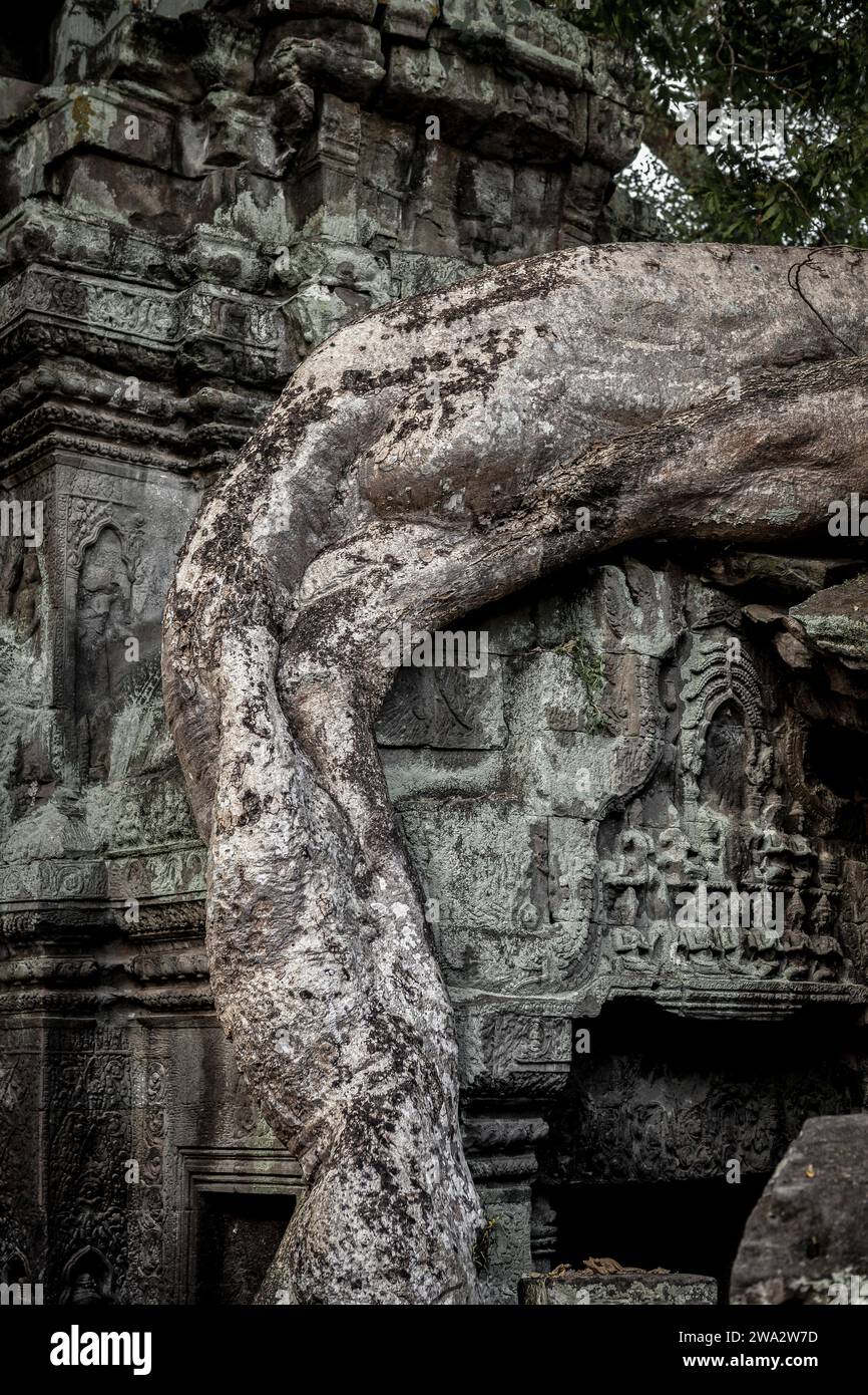 Overgrown deserted complex hi-res stock photography and images - Alamy