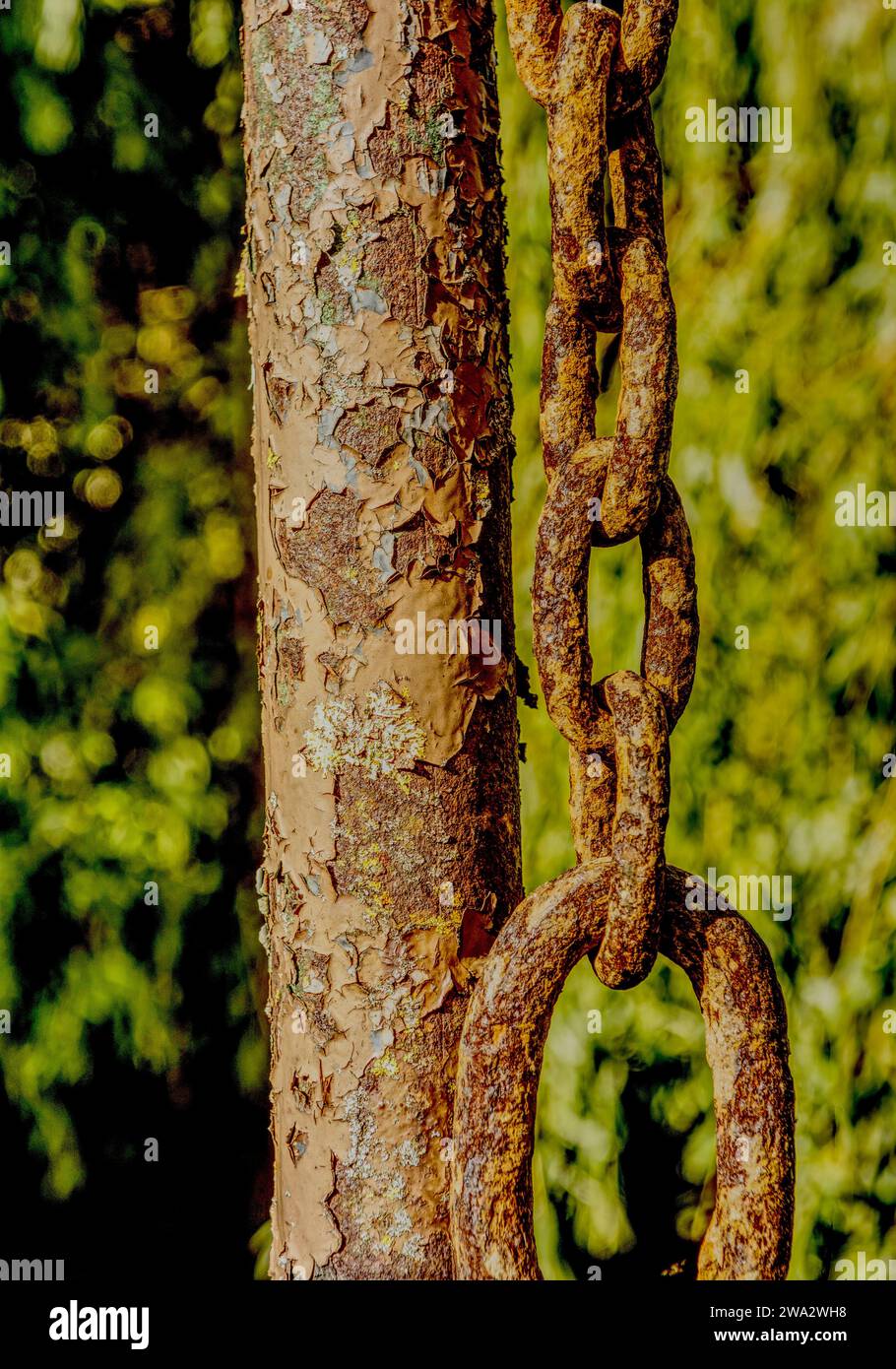 Old metal post and chain with rust and texture Stock Photo - Alamy