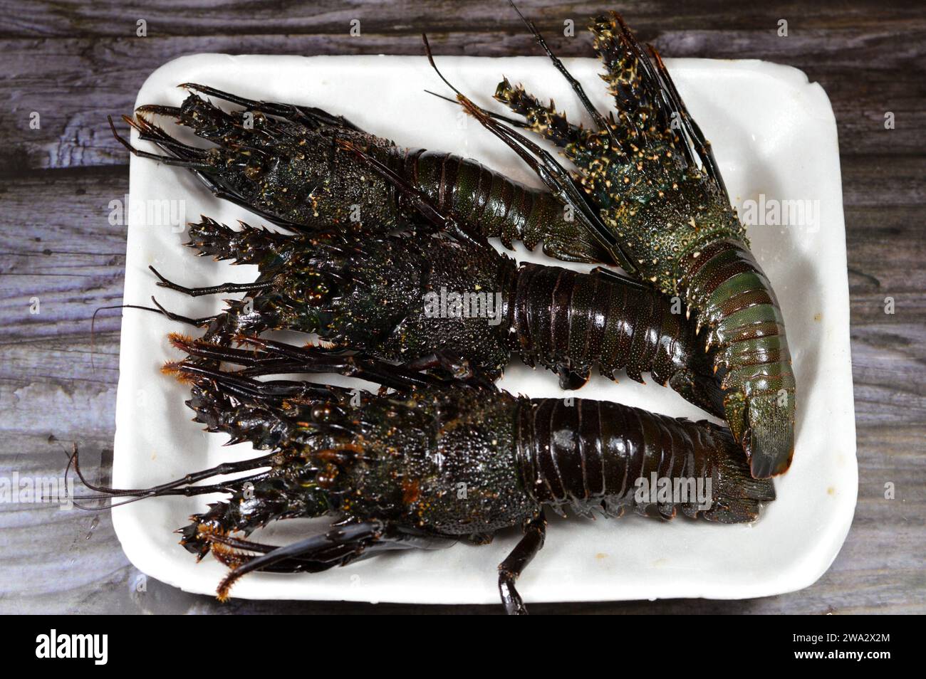 Raw uncooked fresh lobster, Lobsters are a family Nephropidae, Homaridae of marine crustaceans ...