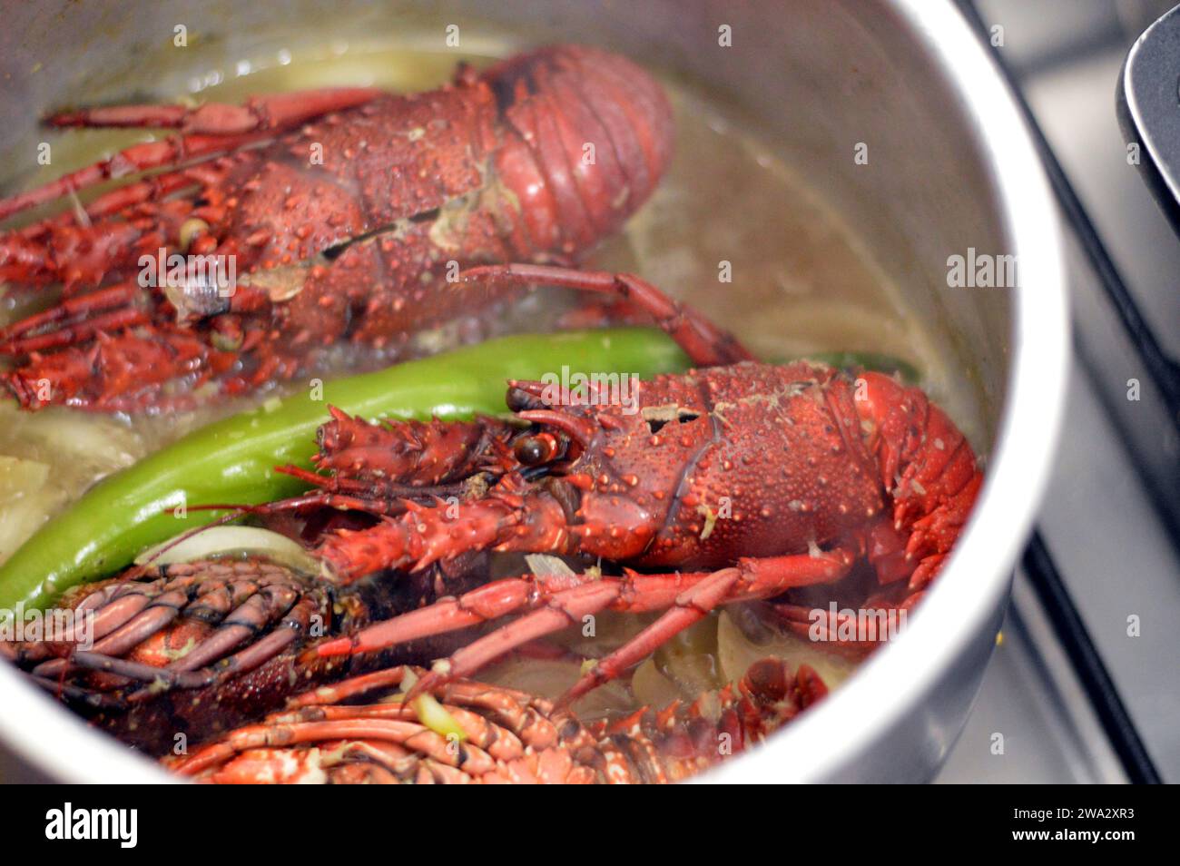 Cooking lobsters, Lobsters are a family Nephropidae, Homaridae of ...
