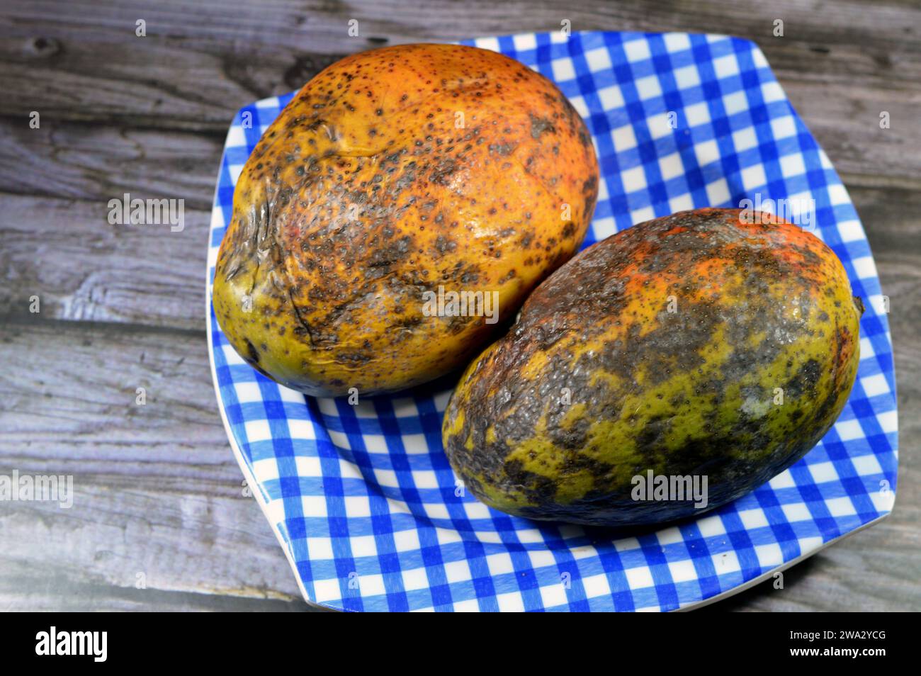 Mango fruit with mold, mould is one of the structures that certain ...