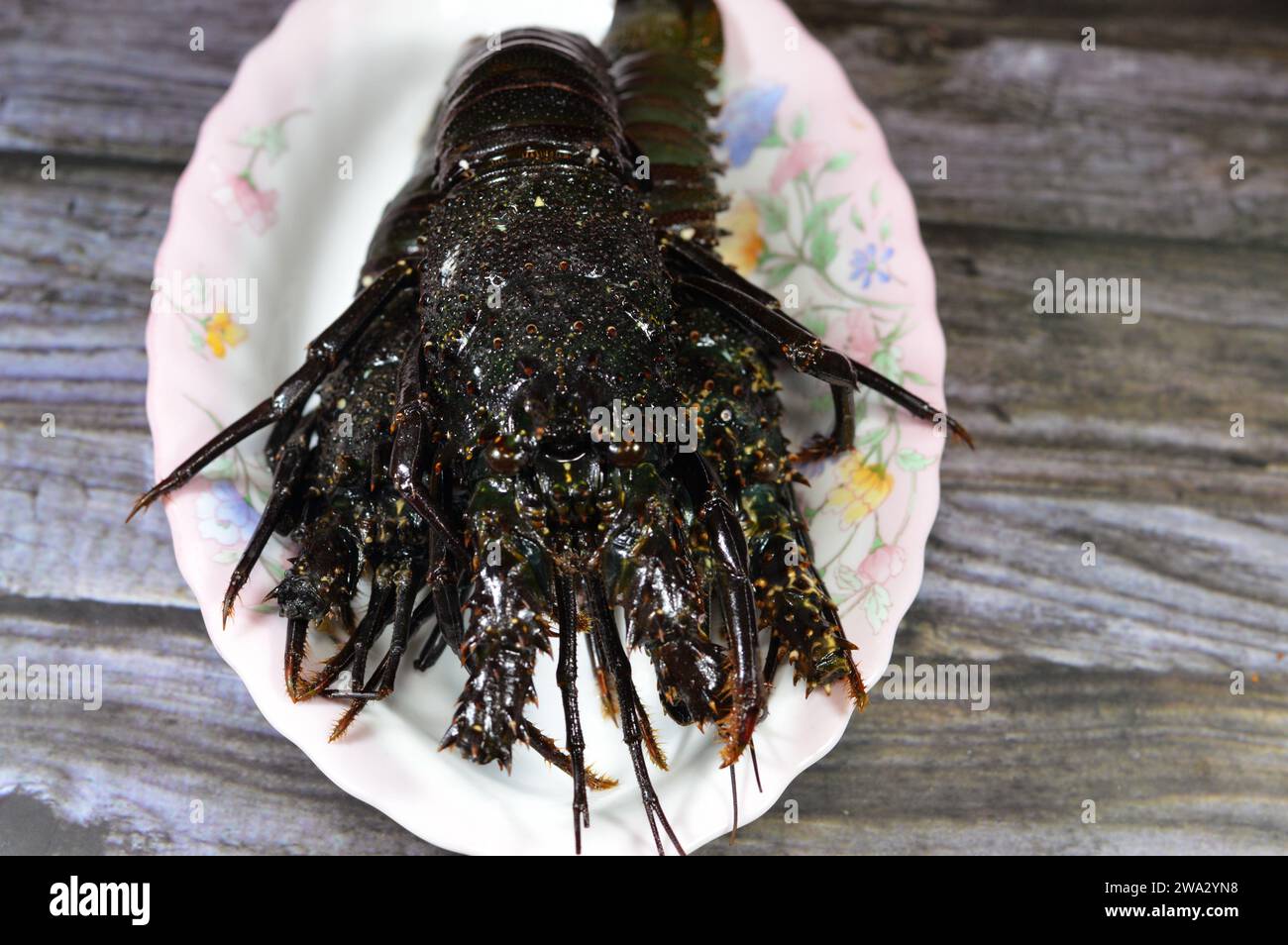 Raw uncooked fresh lobster, Lobsters are a family Nephropidae ...