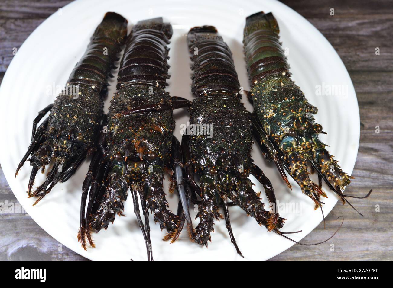 Raw uncooked fresh lobster, Lobsters are a family Nephropidae ...