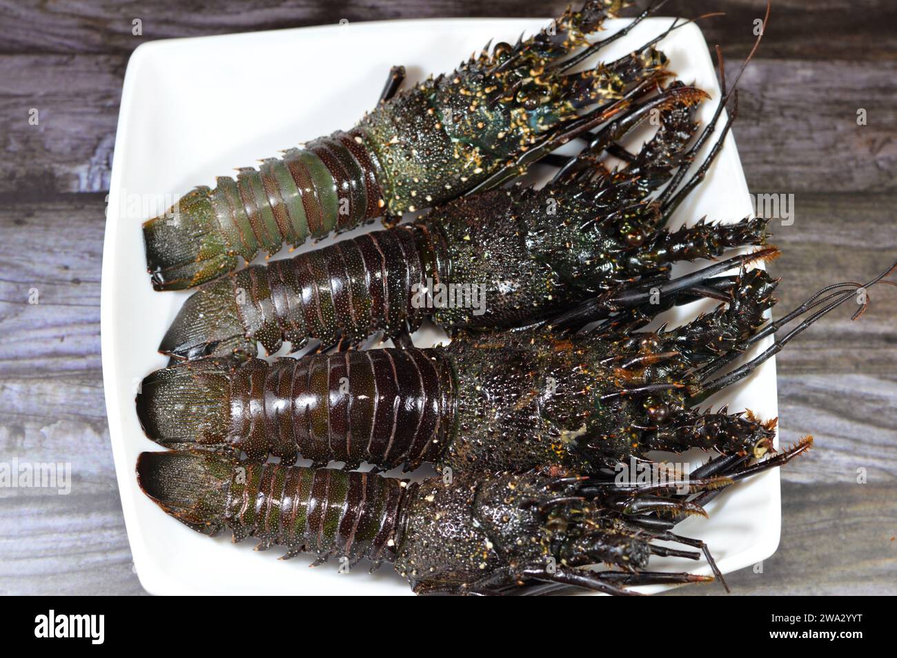 Raw uncooked fresh lobster, Lobsters are a family Nephropidae ...