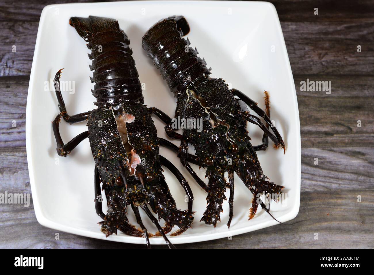 Raw uncooked fresh lobster, Lobsters are a family Nephropidae ...