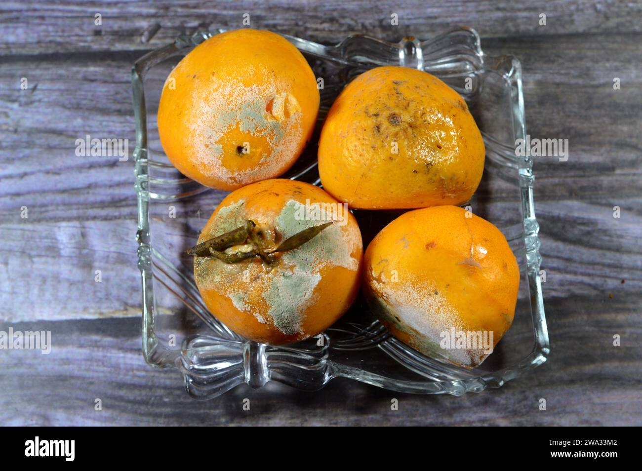 Mandarin orange with mold, mould is one of the structures that certain ...