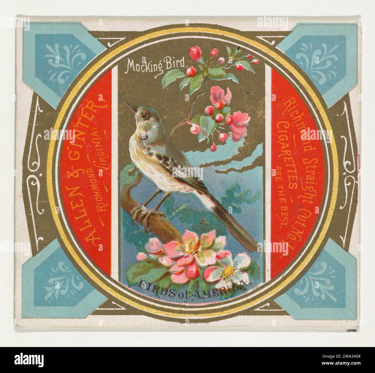 Mockingbird, from the Birds of America series (N37) for Allen & Ginter ...