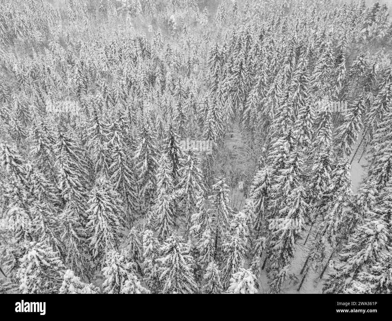 Cold wintry day in Black and White Stock Photos & Images - Alamy