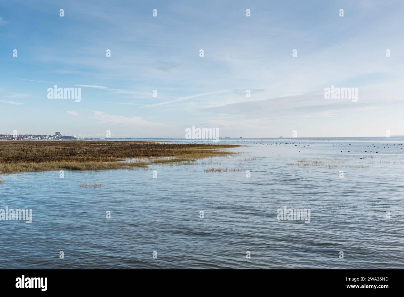 View of the salt marsh at Leigh on Sea with Southend Pier on the ...