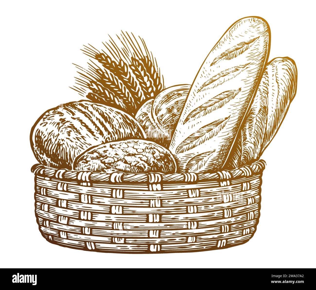 Basket with fresh baked bread and wheat. Vector illustration for bakery ...