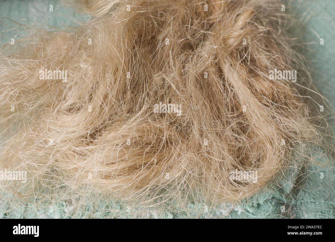 Hydraulic hemp hi-res stock photography and images - Alamy