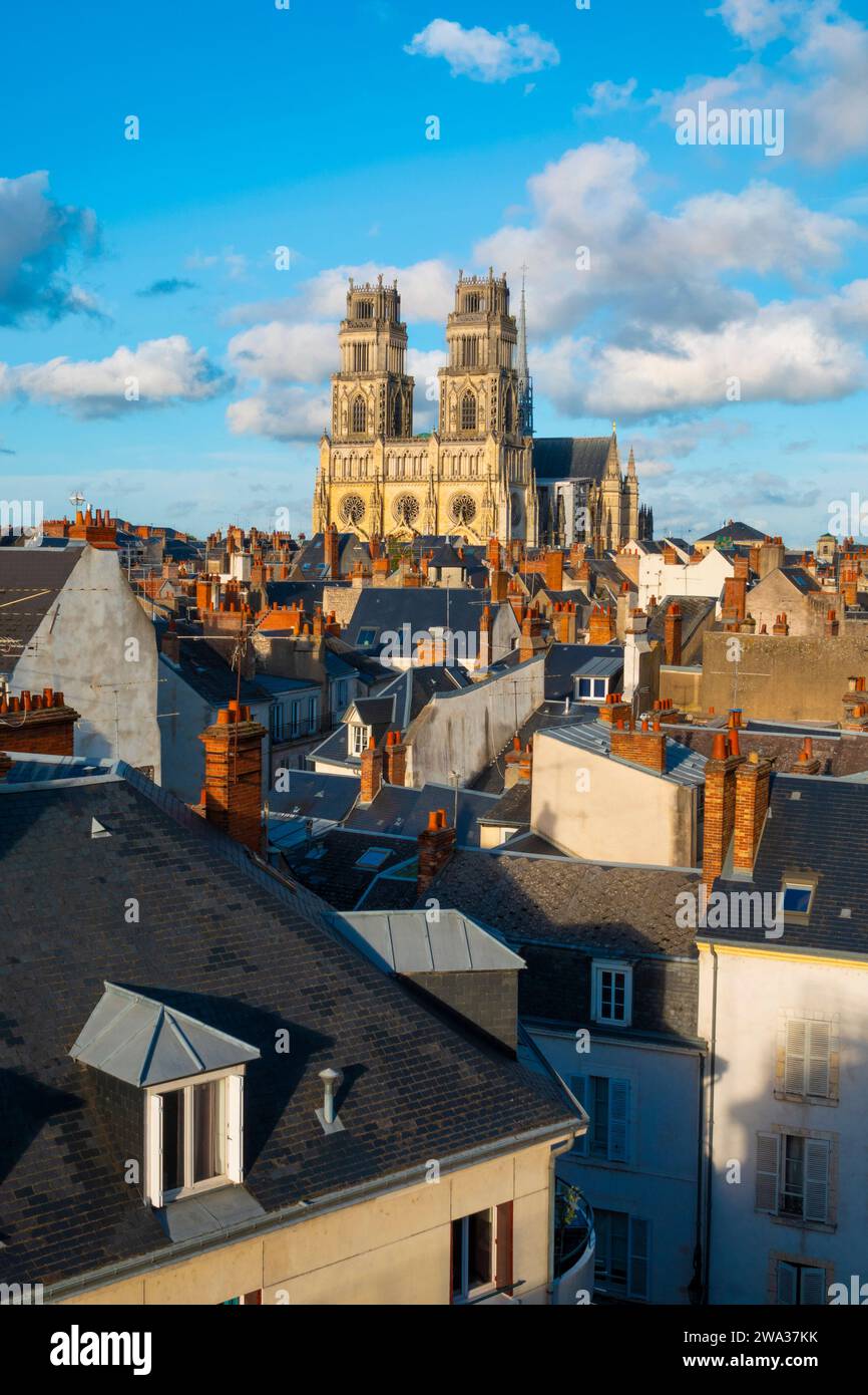 France, Loiret (45), Orleans, view from the roofs of the historic ...