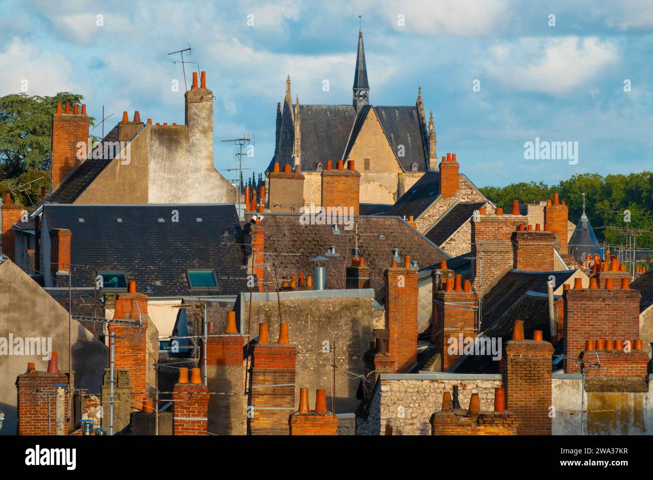 France, Loiret (45), Orleans, view from the roofs of the historic ...
