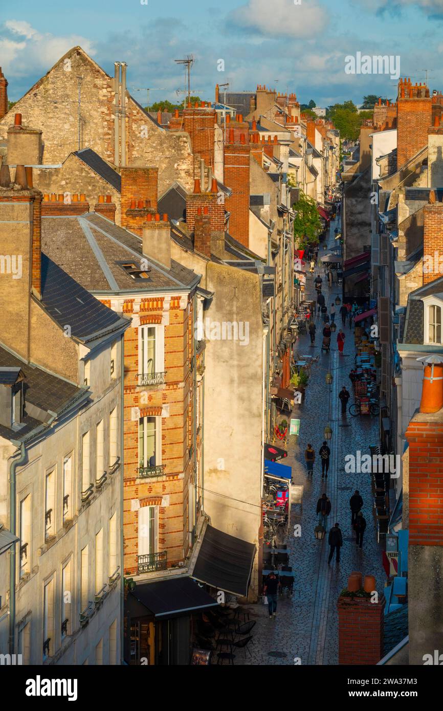 France, Loiret (45), Orleans, view from the roofs of the historic ...