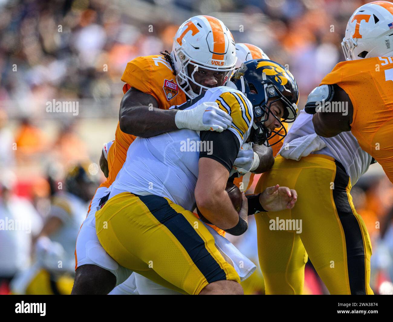 2024 0354 jpg hi-res stock photography and images - Alamy