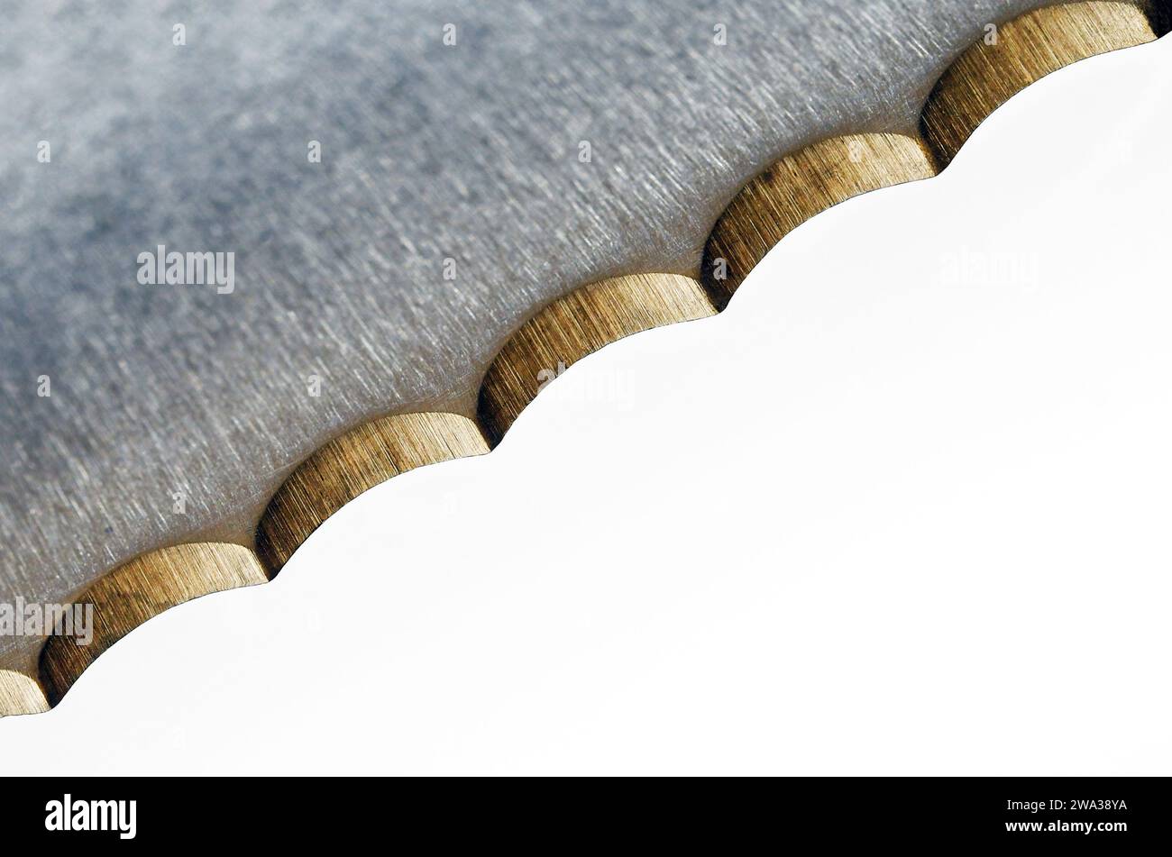 Close up view of the serrated edge of a kitchen knife. Copy space. No ...