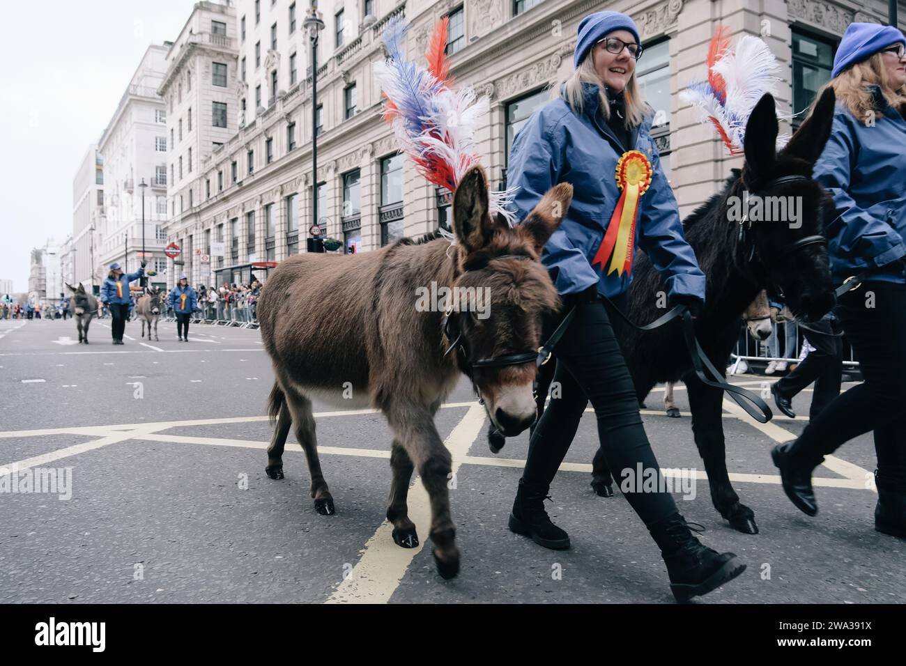 London, UK. 1st January, 2024 The New Years Day Parade takes place in ...