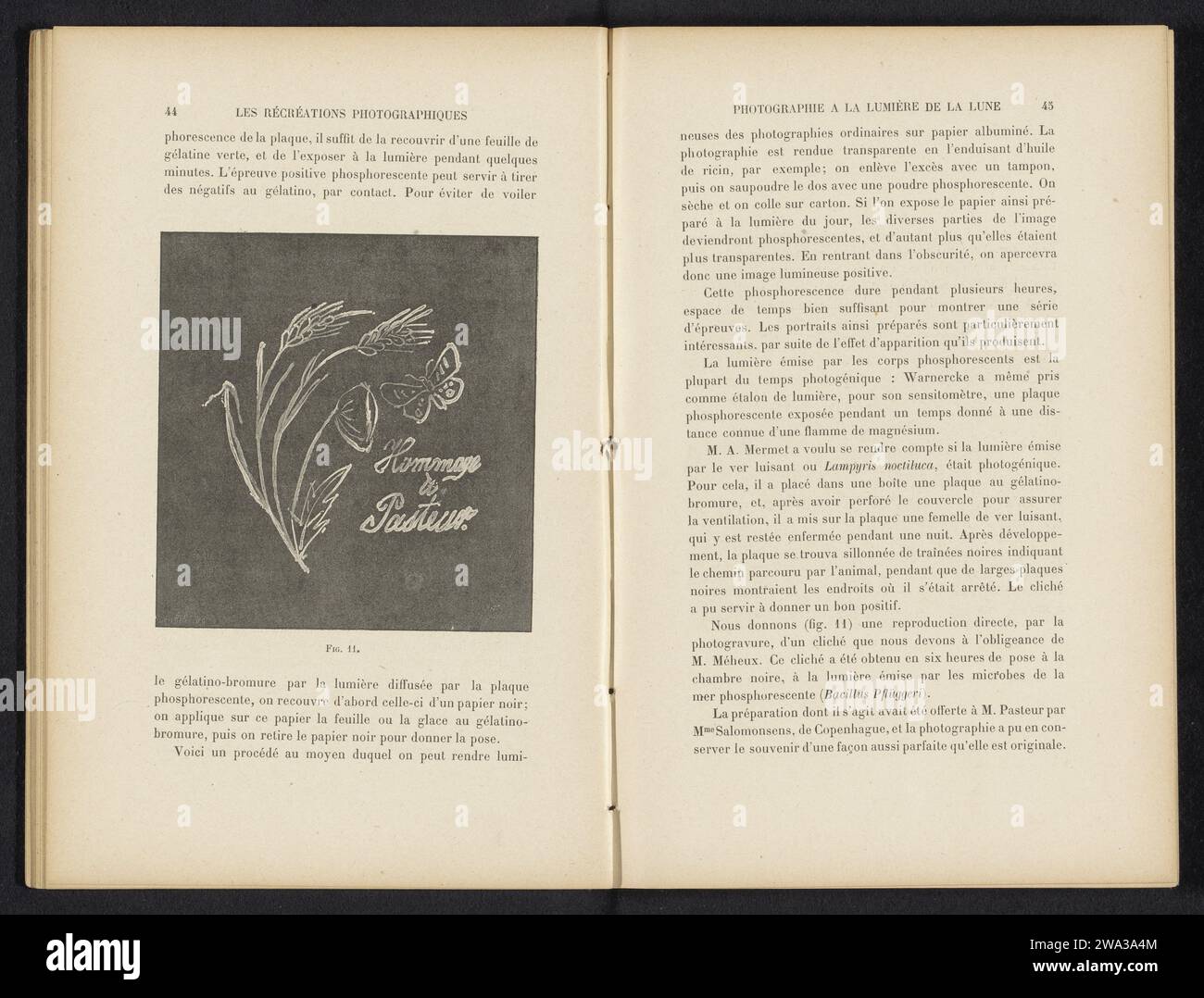 Louis pasteur tribute hi-res stock photography and images - Alamy