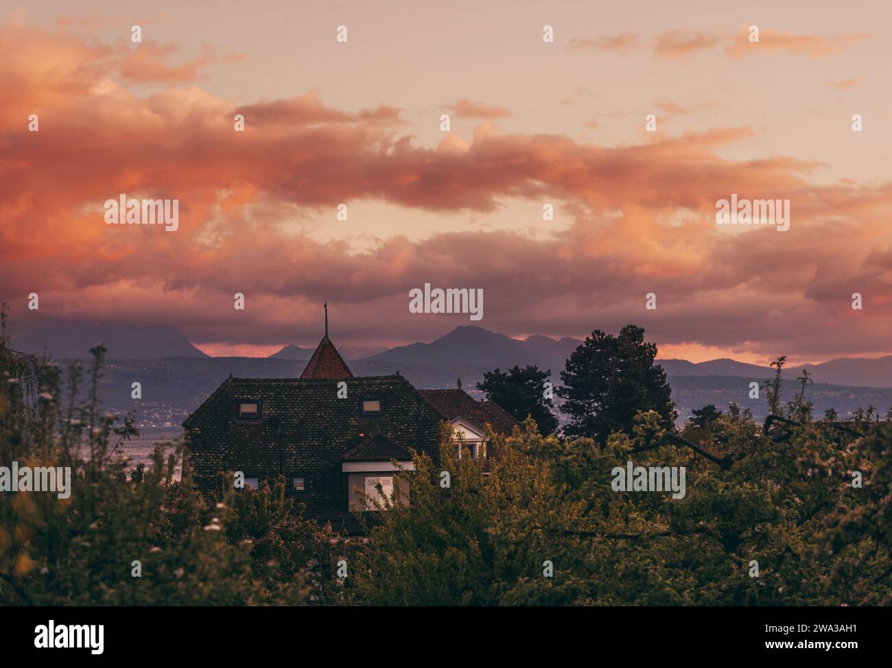 Vanilla sunset over Lake Geneeva, Switzerland Stock Photo - Alamy