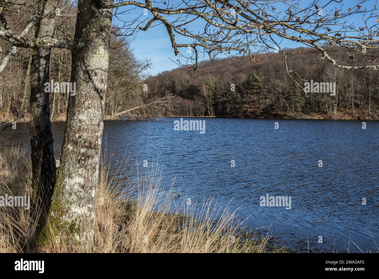 Etang de Lachamp en hiver Stock Photo - Alamy