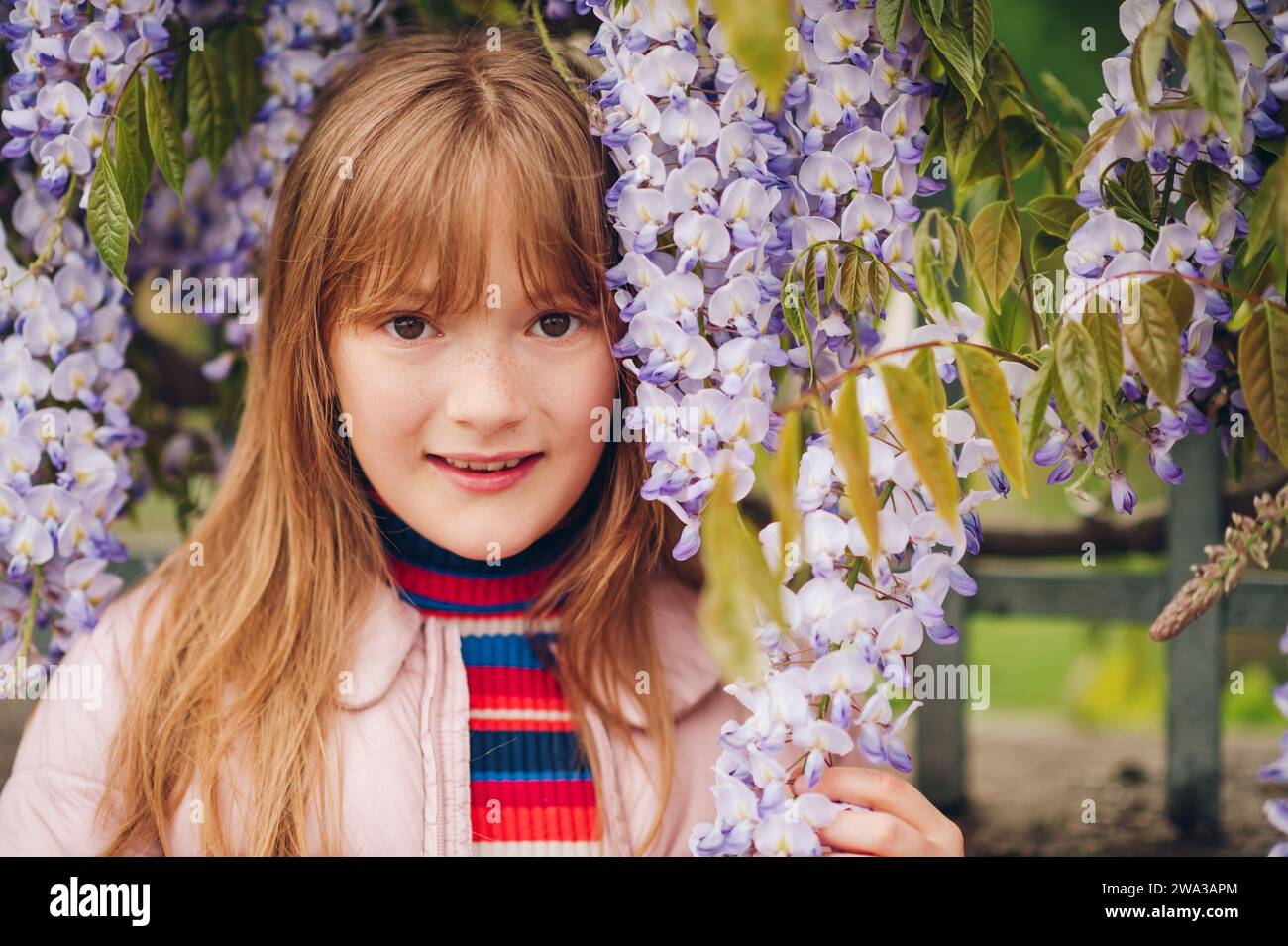 Spring portrait of adorable 9-10 year old kid girl posing in wisteria ...