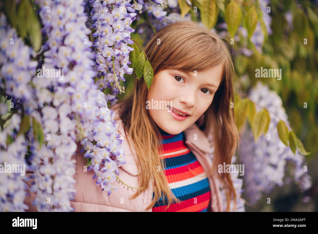 Spring portrait of adorable 9-10 year old kid girl posing in wisteria ...