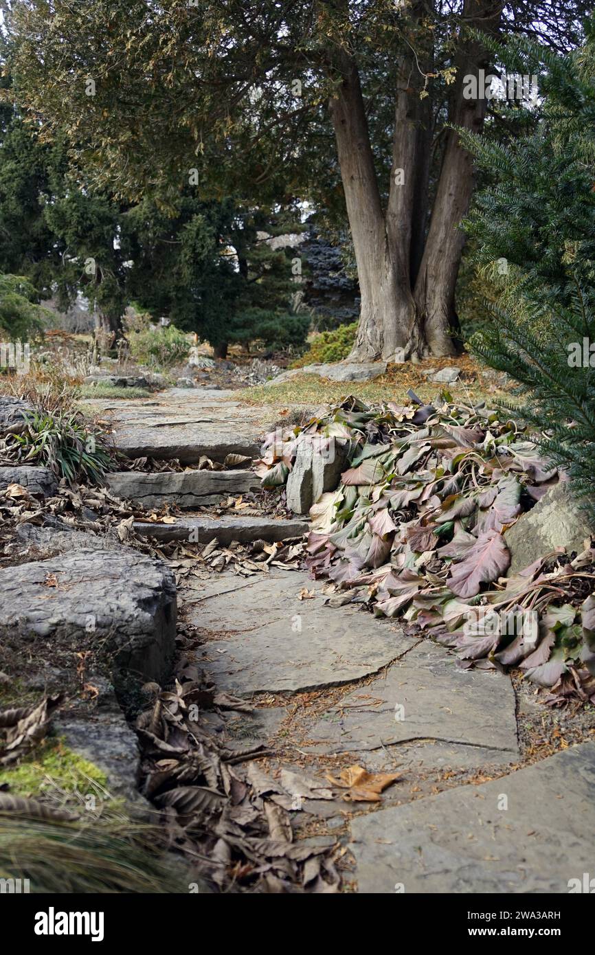 Stone steps on a leaf-strewn path through a city park in winter Stock ...