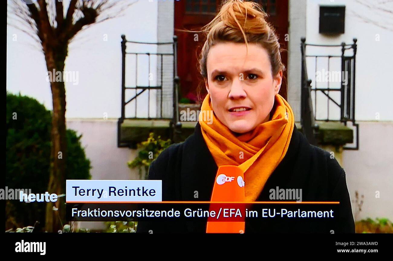 Terry Reintke Fraktionsvors. Grüne/EFA im EU-Parlament im ZDF Beitrag ...