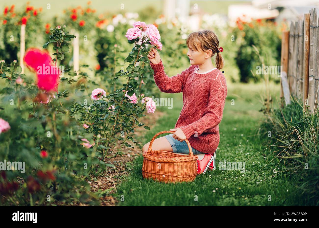 Little girl playing in beautiful rose garden, sitting on the fresh ...